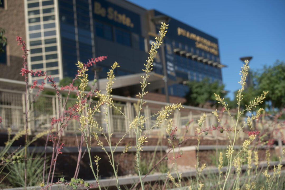Academic Advising - Nevada State University