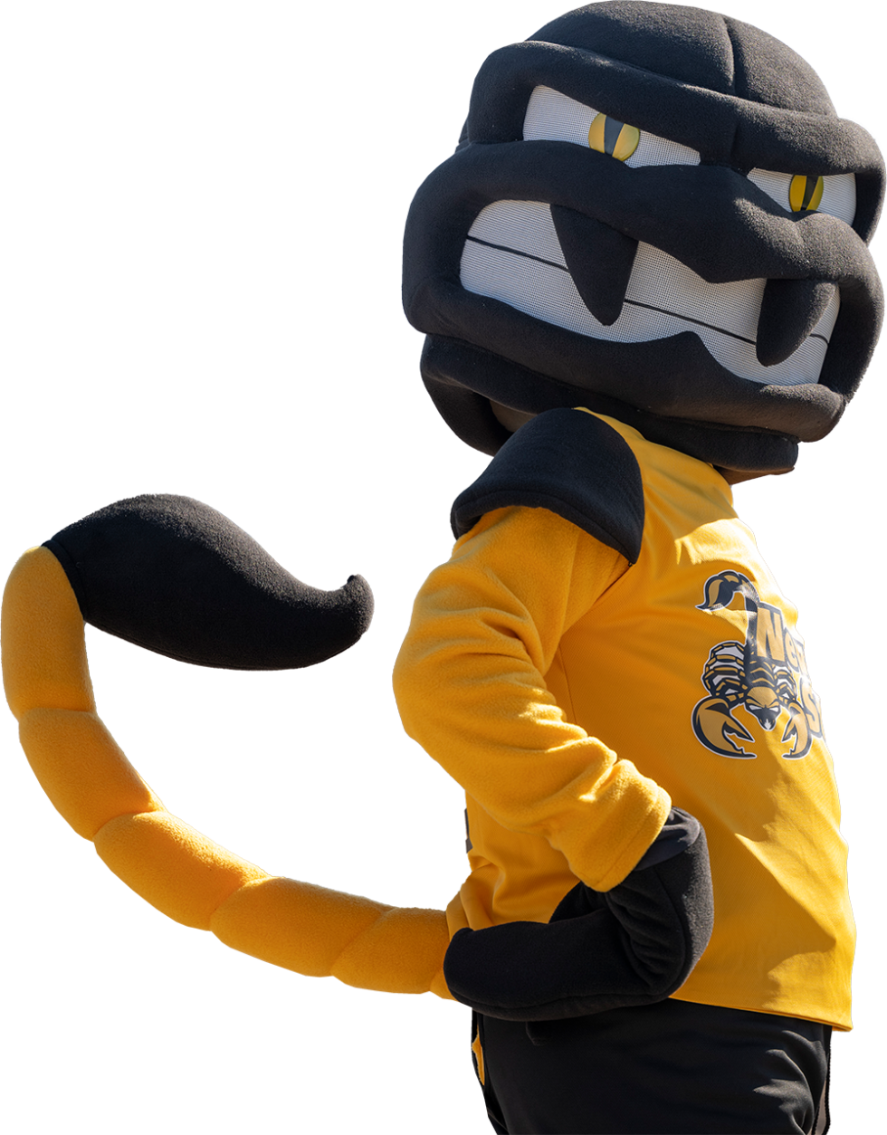 Athletics - Nevada State University